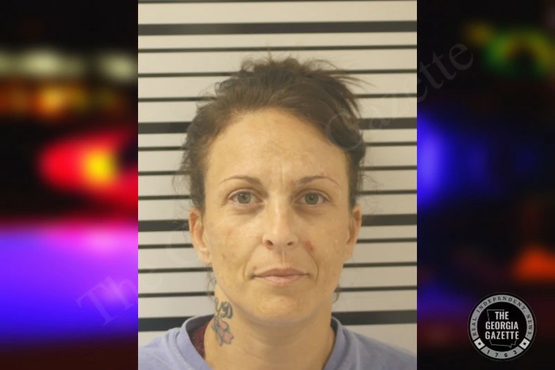 Tabitha Floyd — Toombs County Jail Bookings