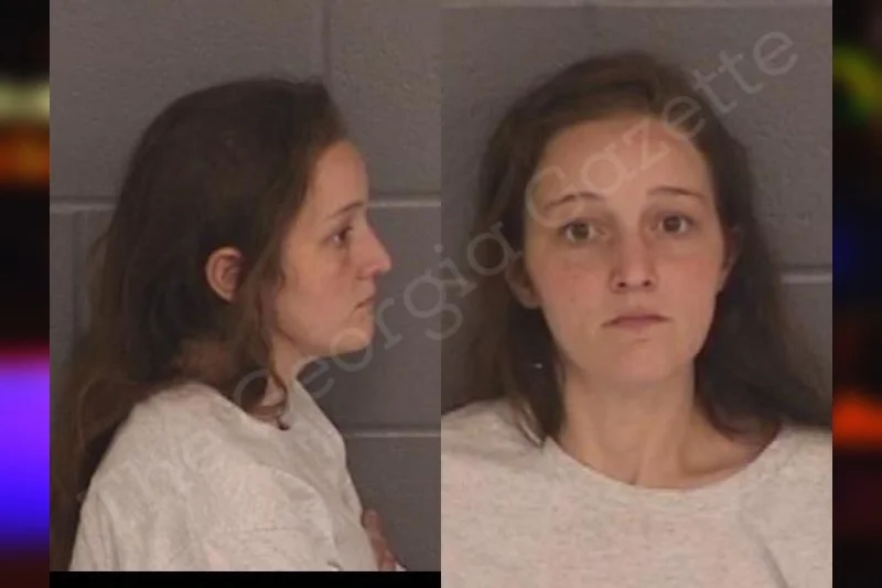 Rachel Gant — Barrow County Jail Bookings