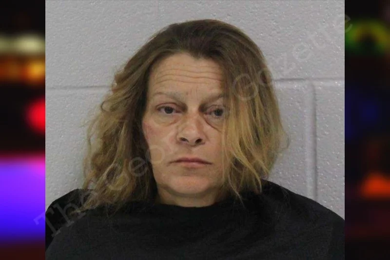 Sonja Helms — Carroll County Jail Bookings