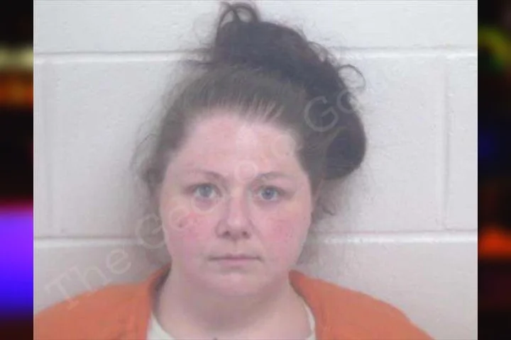Lauren Hendricks — Washington County Jail Bookings