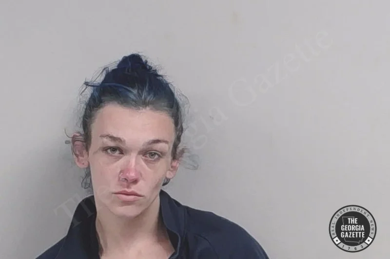 Amanda Holley — Lowndes County Jail Bookings
