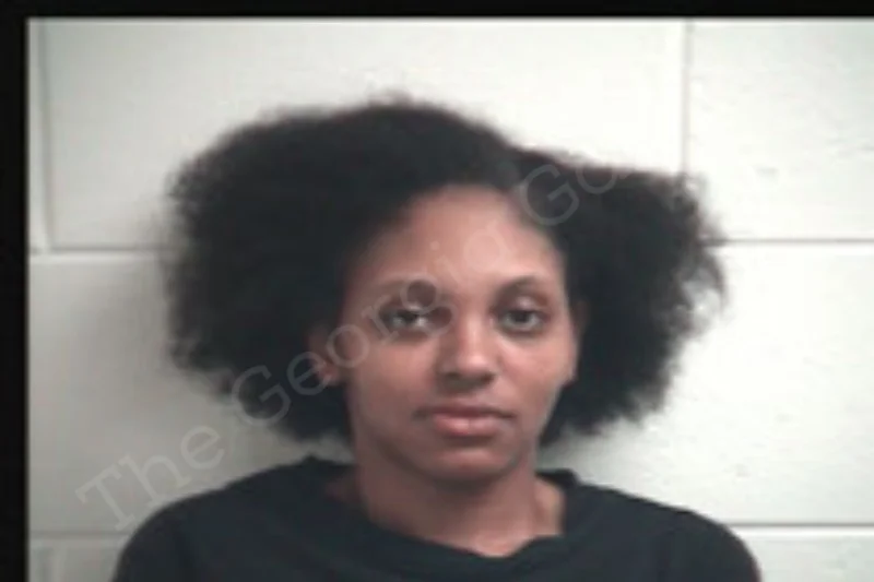 Brandy Hull — Henry County Jail Bookings