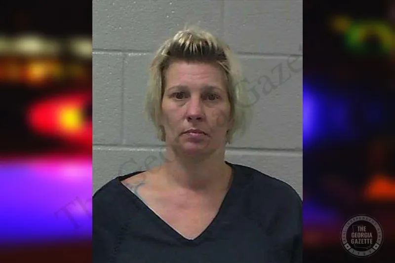 Brandie Hardison — Gilmer County Jail Bookings