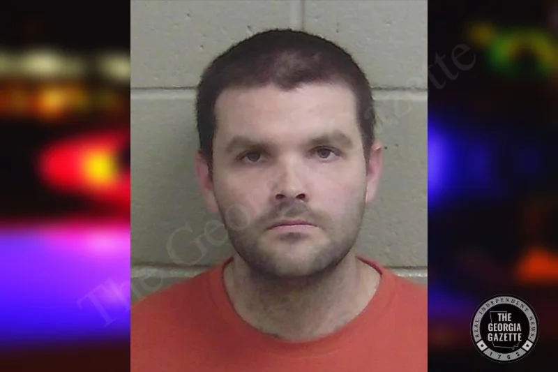 Tyler Henry — Wayne County Jail Bookings