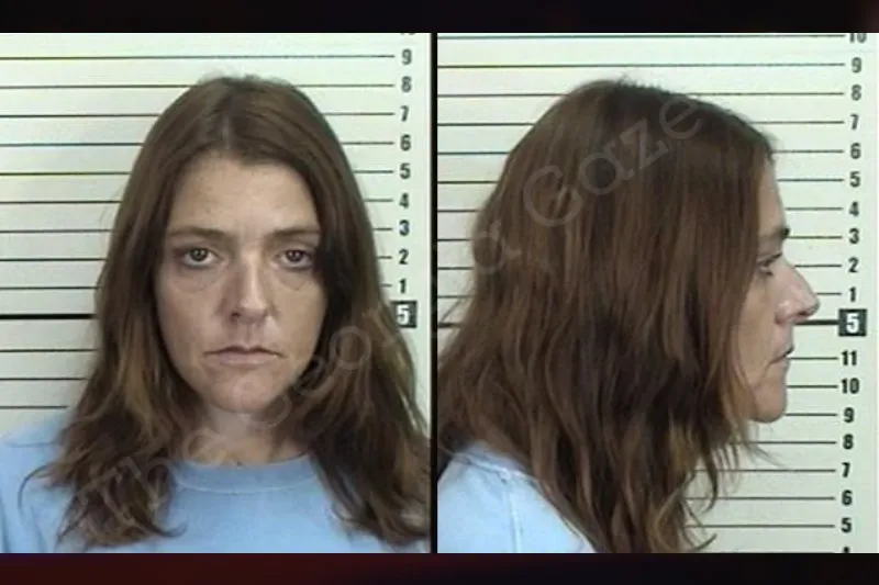 April Hodge — Camden County Jail Bookings