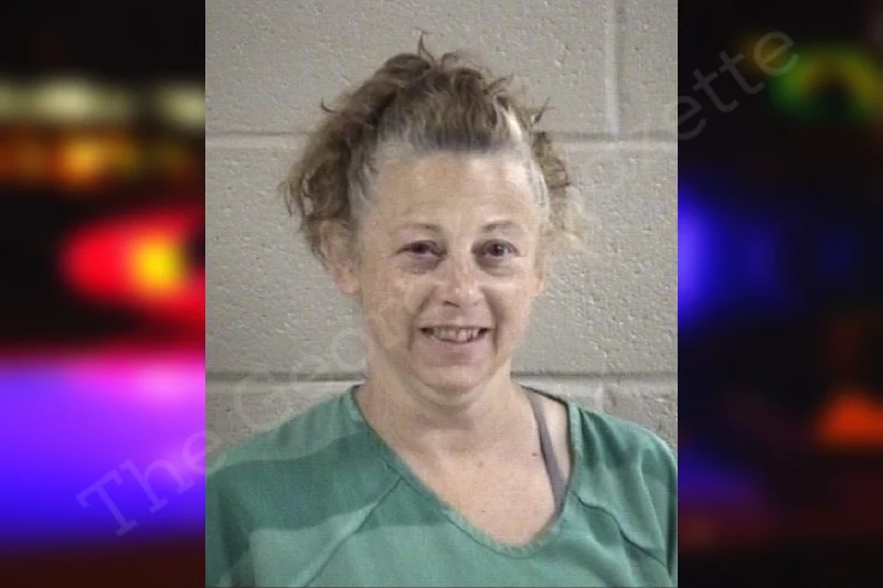 Deborah Holcomb — Whitfield County Jail Bookings