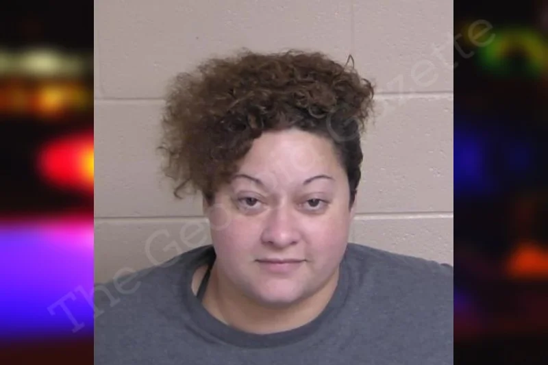 Kimberly Hood — Walker County Jail Bookings