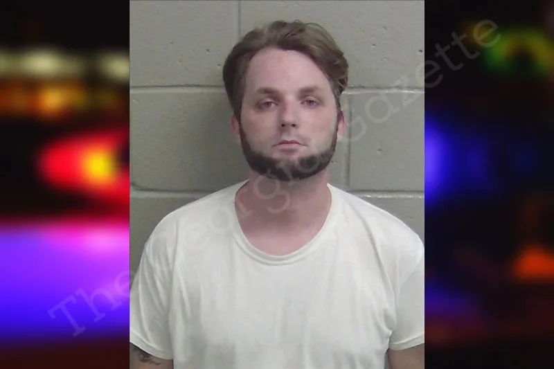 Andrew Horne — Wayne County Jail Bookings