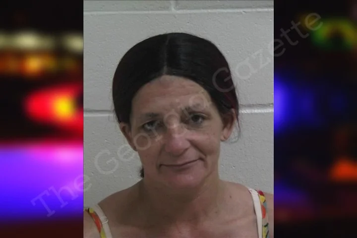 Amanda Ingram — Decatur County Jail Bookings