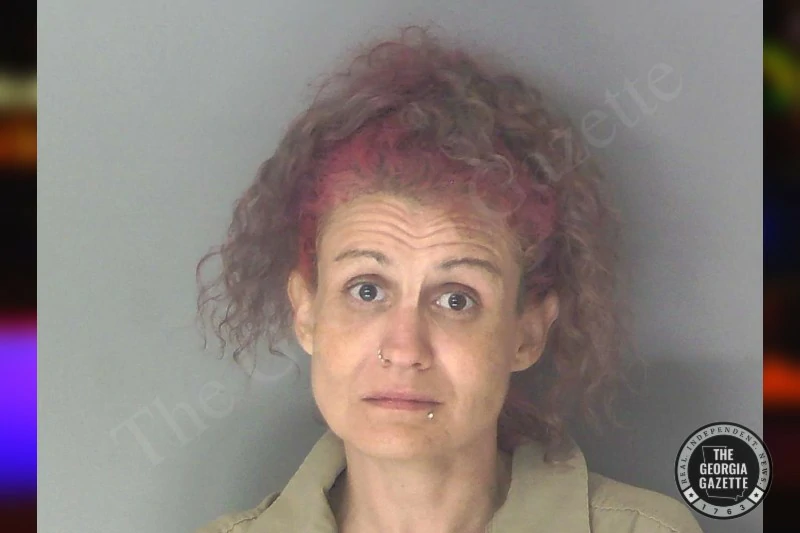 Sheree Jenkins — Douglas County Jail Bookings