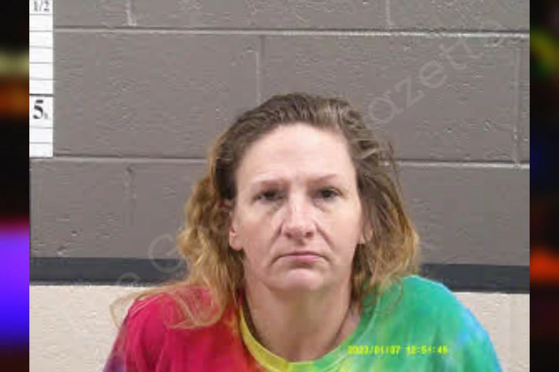 Kellie McCoy — Banks County Jail Bookings