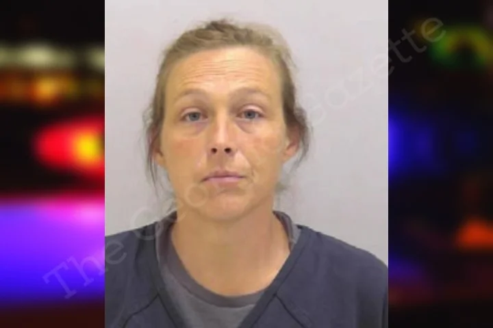 Brandy Lee — Bartow County Jail Bookings