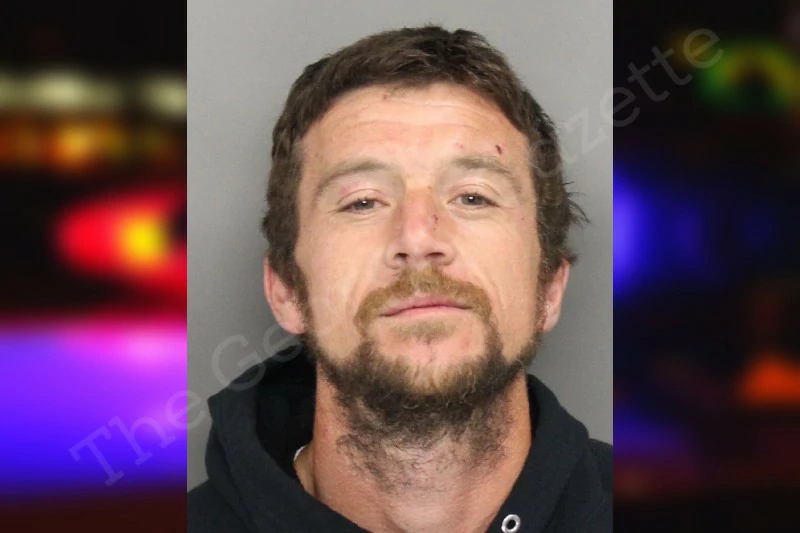 Evan Longnecker — Cobb County Jail Bookings