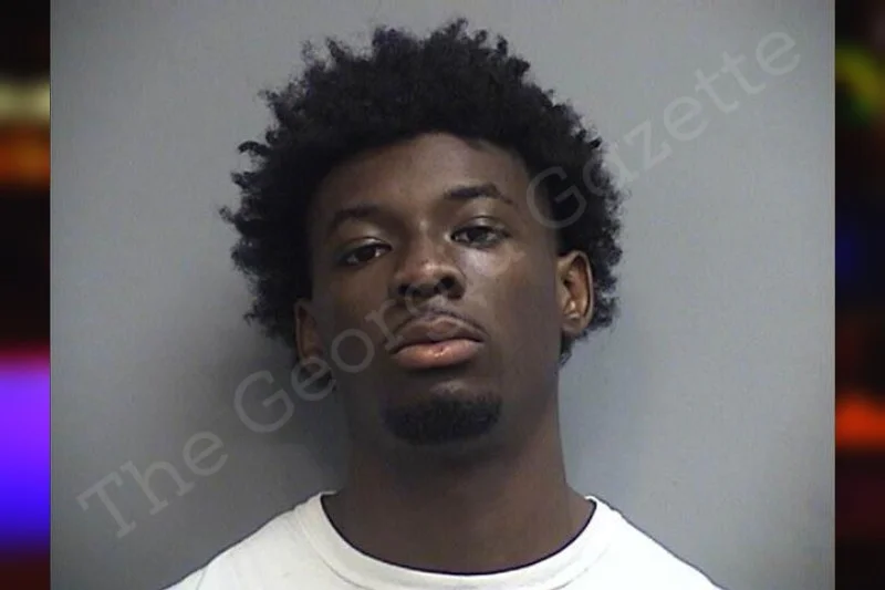 Sean Lovett — Effingham County Jail Bookings