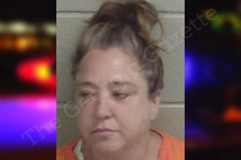 Rhonda Lowman — Wayne County Jail Bookings