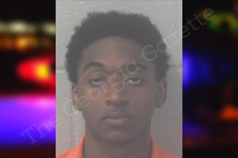 Bryce Merritt — Newton County