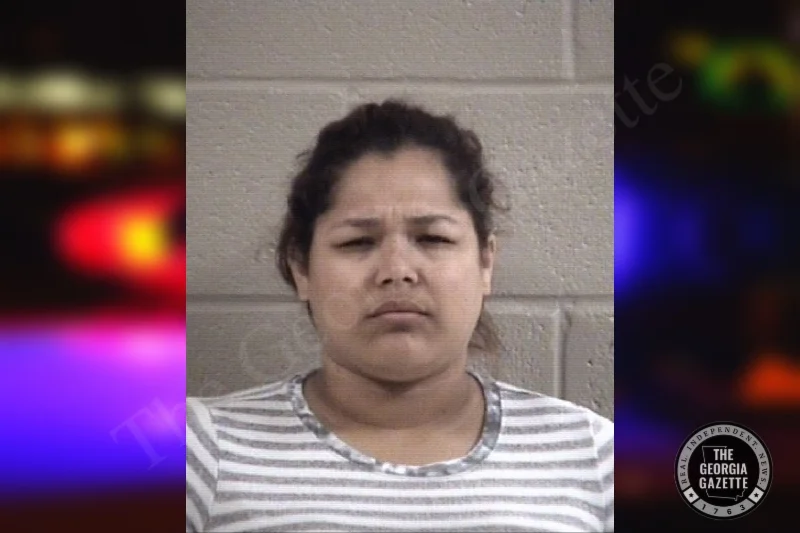Yilvis Marcano-Figueroa — Whitfield County Jail Bookings