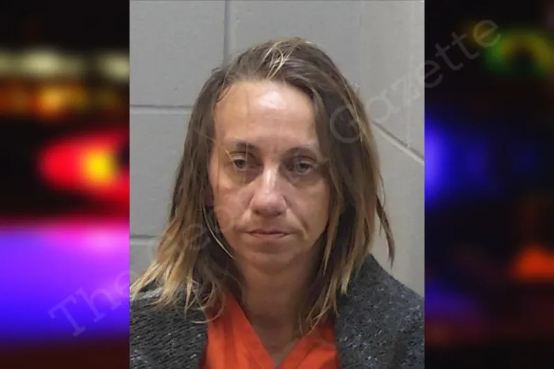 Brandy McLaughlin — Madison County Jail Bookings