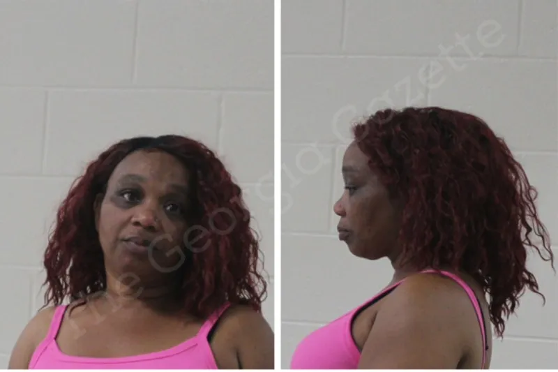 Angela Nicely — Houston County Jail Bookings