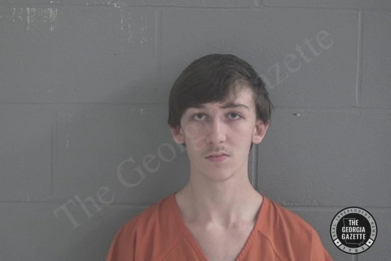 Austin Pittman — Brantley County Jail Bookings