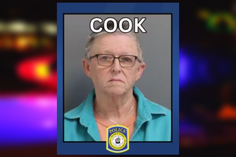 Former daycare worker accused of abusing multiple infants under 11 ...