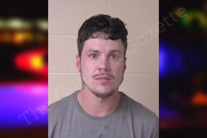 John Quails — Walker County Jail Bookings