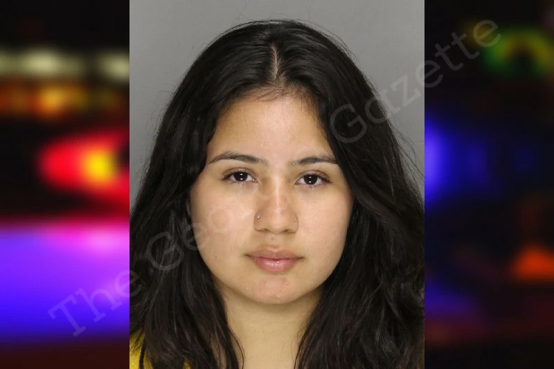Anne Ramirez — Cobb County Jail Bookings