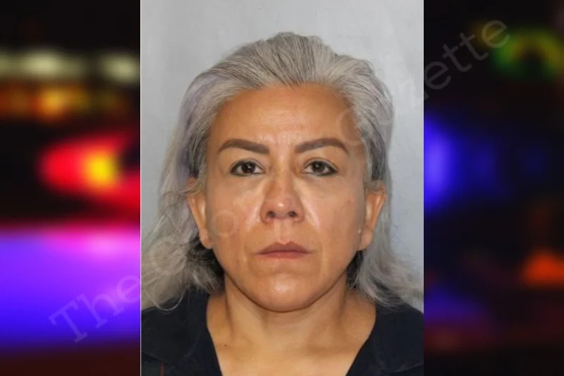 Astrid Ramirez — Hall County Jail Bookings