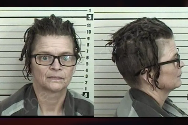 Kimberly Ramsey — Camden County Jail Bookings Kimberly Ramsey — Camden County Jail Bookings
