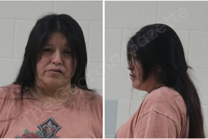 Maria Rico-Gomez — Houston County Jail Bookings