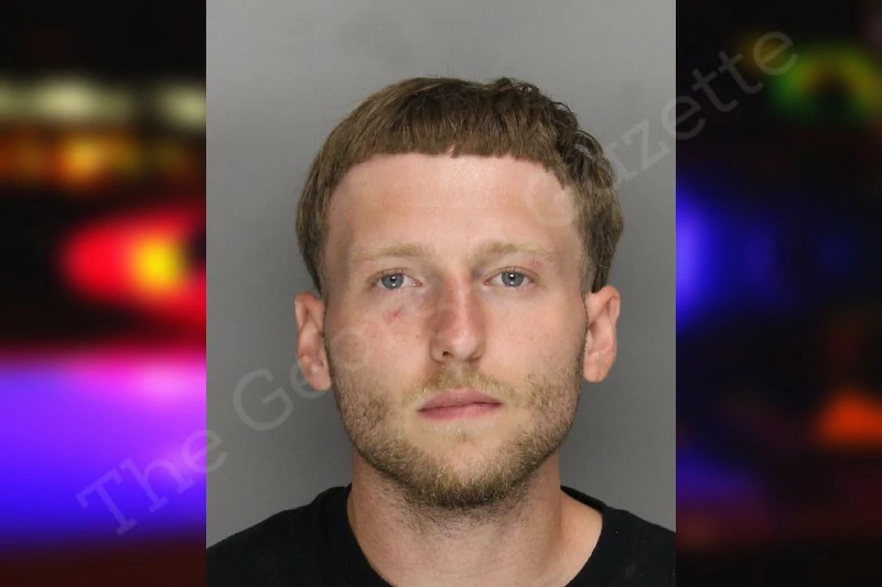 Brandon Smart — Cobb County Jail Bookings