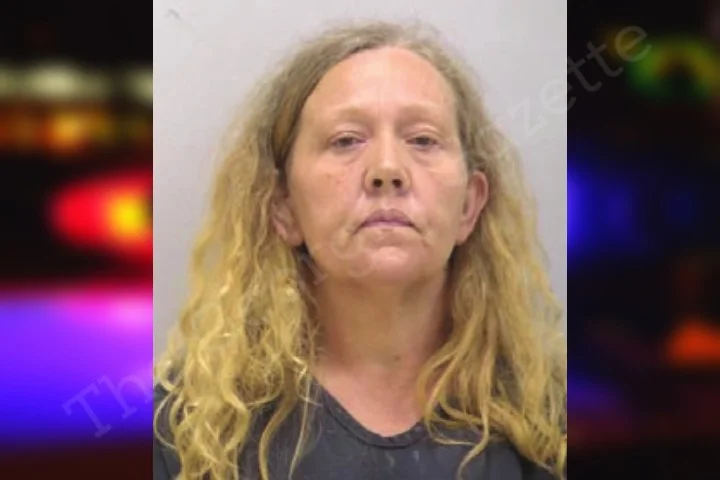 Mary Stewart — Bartow County Jail Bookings