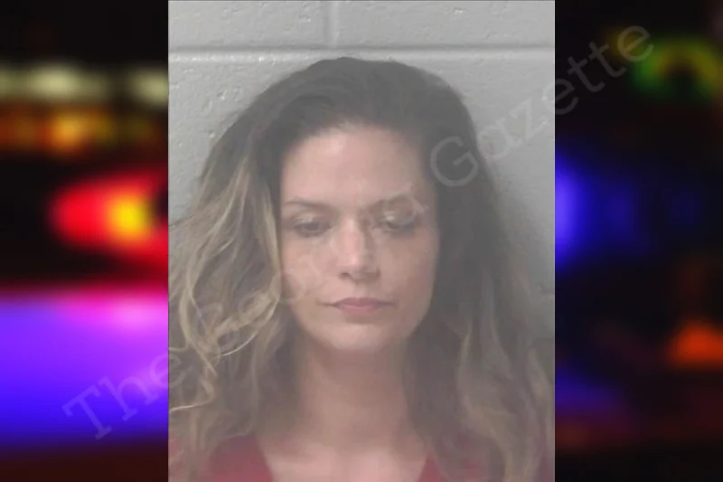 Heather Strawn — Newton County Jail Bookings