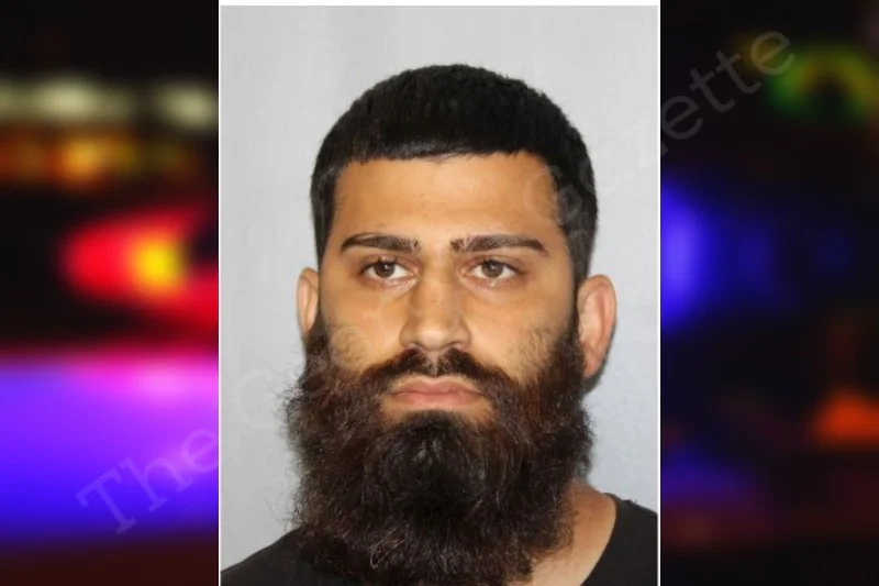 Alen Suljic — Hall County Jail Bookings