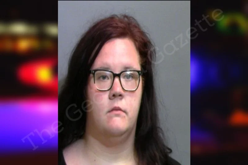 Stacey Sheets Glynn County Jail Bookings
