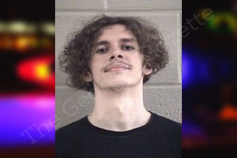 Gavyn Shelton — Whitfield County
