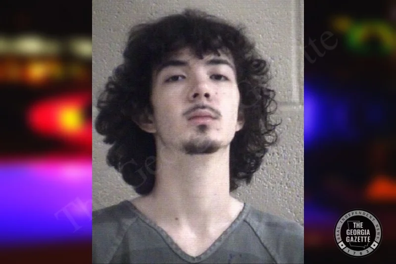 Ashton Shepherd — Whitfield County Jail Bookings Ashton Shepherd — Whitfield County Jail Bookings