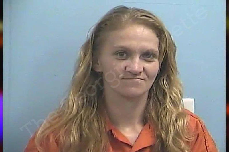 Amy Stephens — Dawson County Jail Bookings