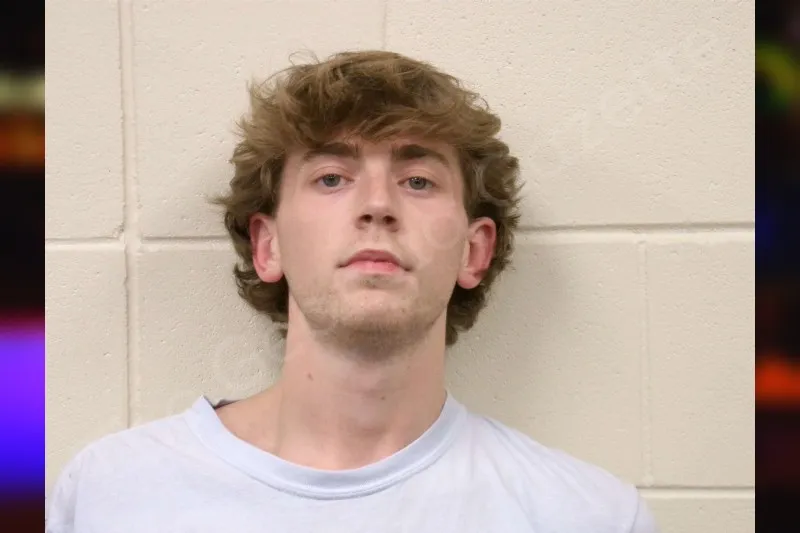 Elijah Vinson — Bulloch County Jail Bookings