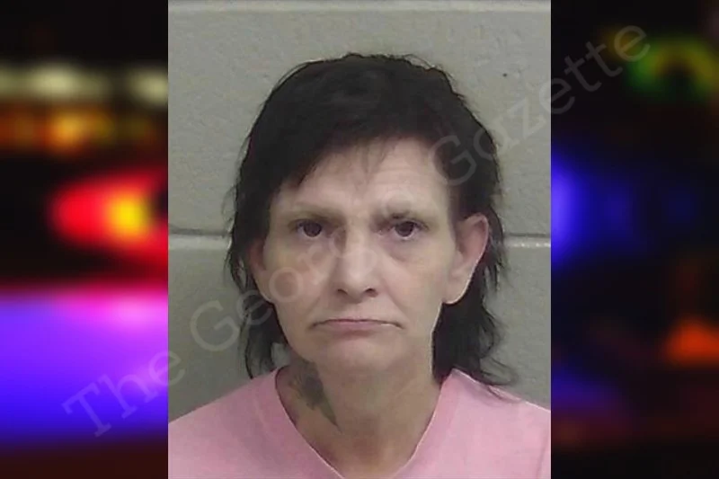 Janine Waters — Wayne County Jail Bookings