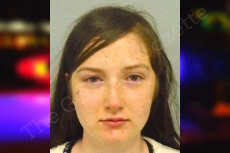 Alexcia Wilson — Burke County Jail Bookings