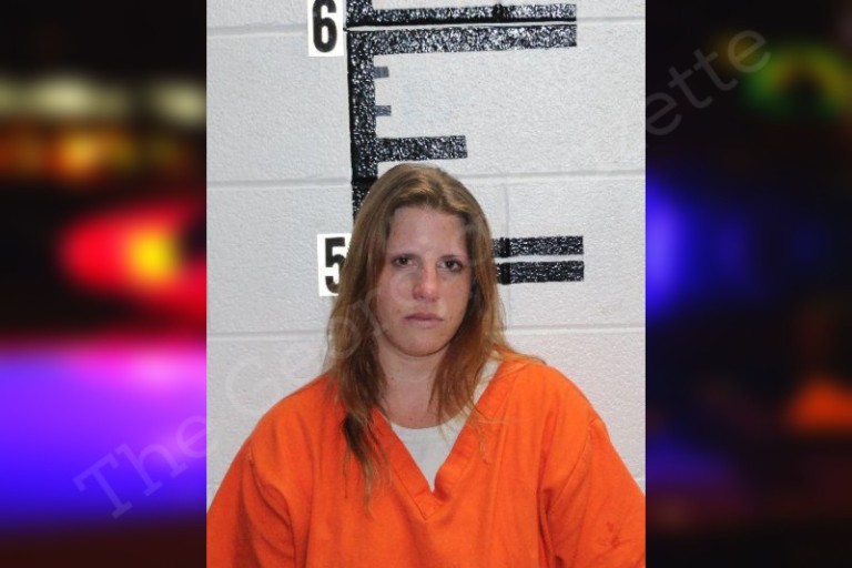 Jessica West — Murray County Jail Bookings