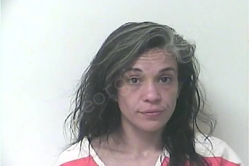 Jessica Woelfel — Oconee County Jail Bookings