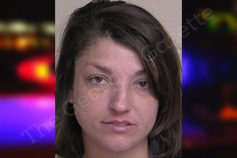 Tonya Younce — Walker County Jail Bookings