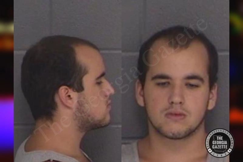 Morgan Albright — Barrow County Jail Bookings