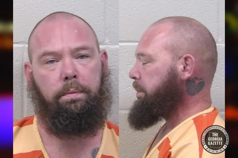 Michael Allison — Paulding County Jail Bookings