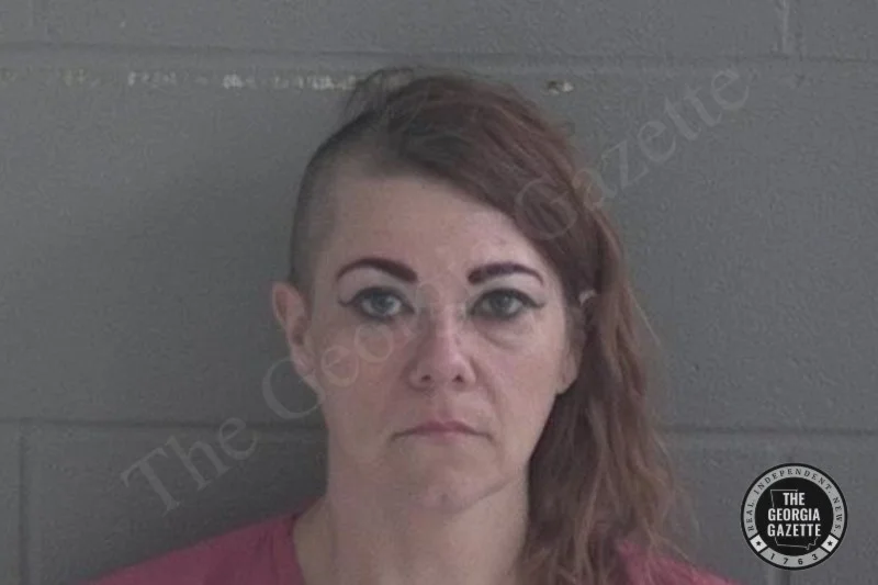 Ember Davidson — Brantley County Jail Bookings