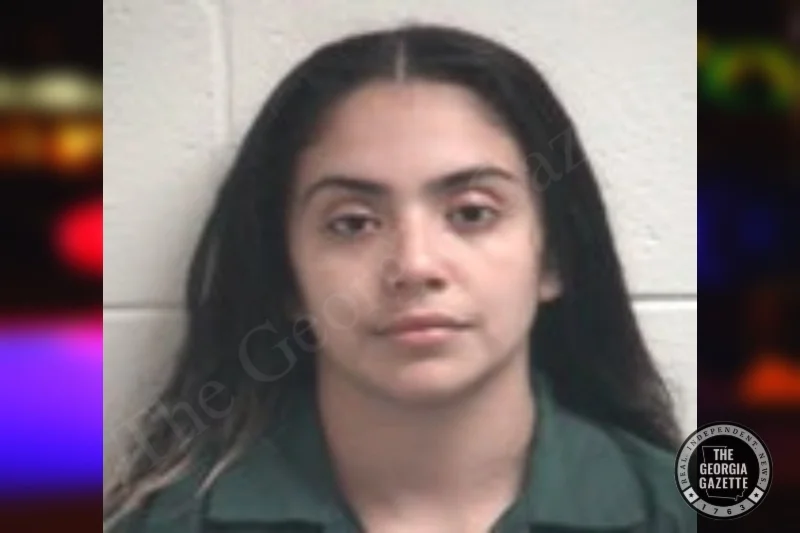 Heidy Fluker — Henry County Jail Bookings