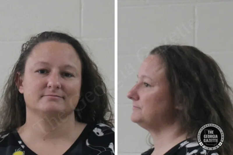 Crystal Hanie — Houston County Jail Bookings