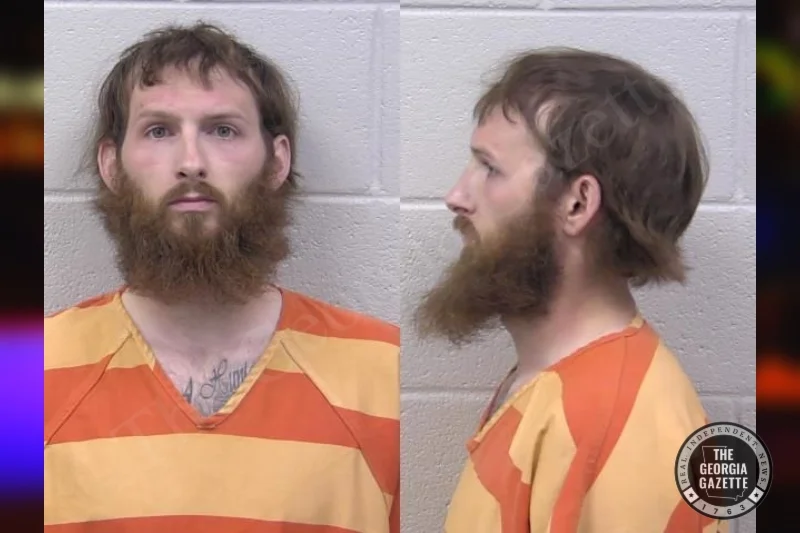 Dalton Holmes — Paulding County Jail Bookings